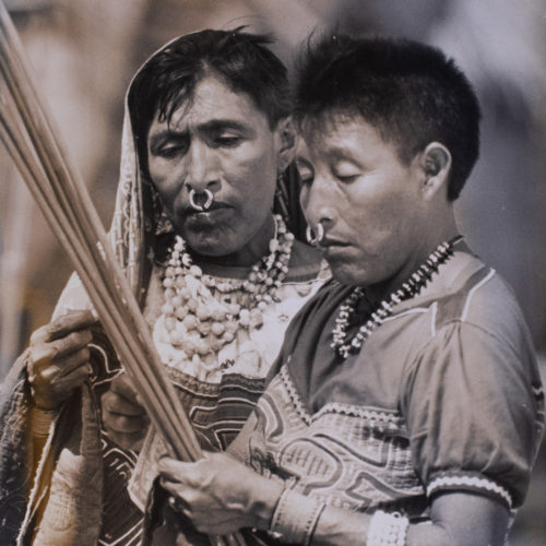 Home - The Mola Museum