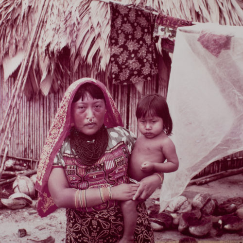 Home - The Mola Museum